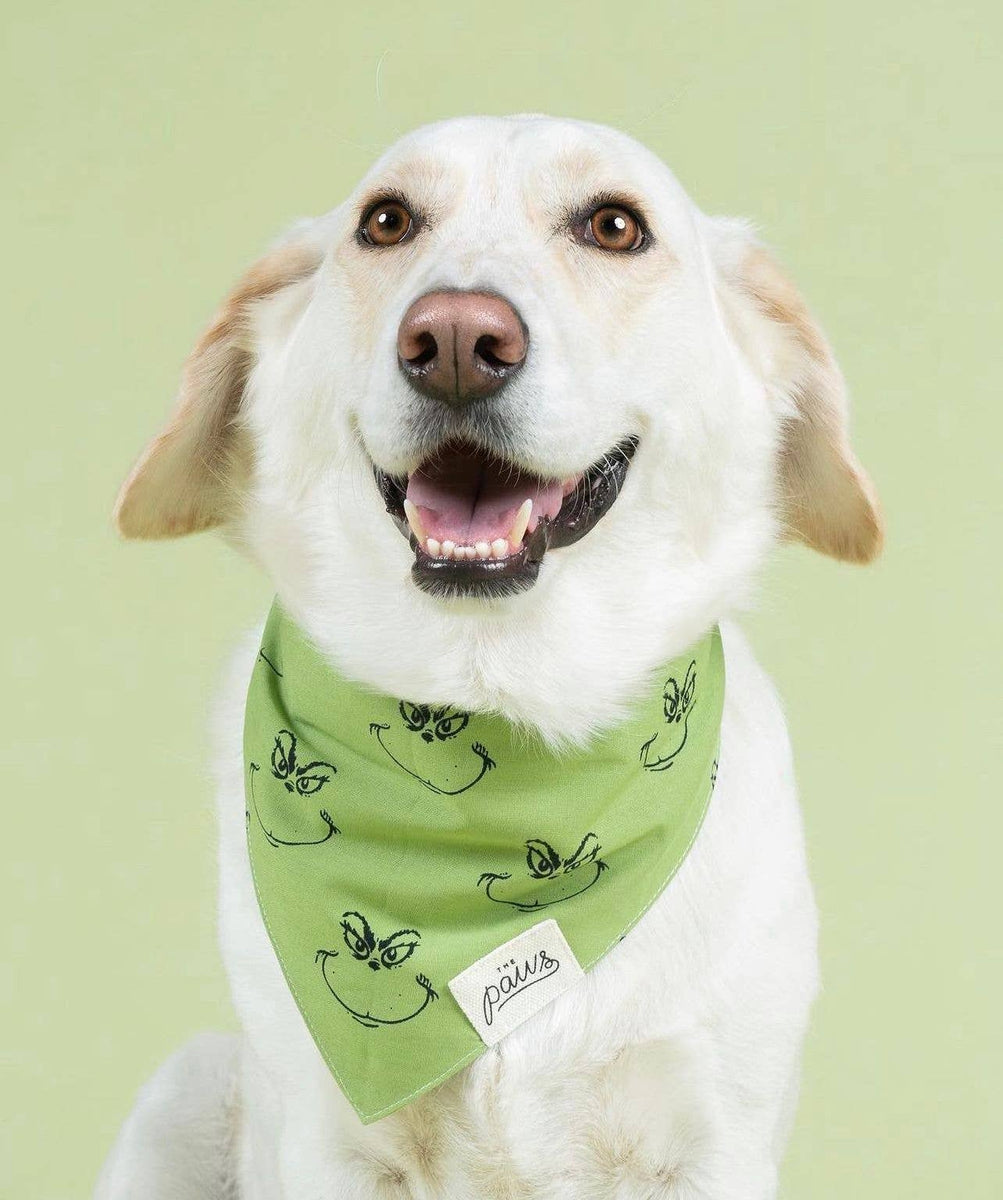 Grinch Dog Bandana – Peachy Paws Pet Store