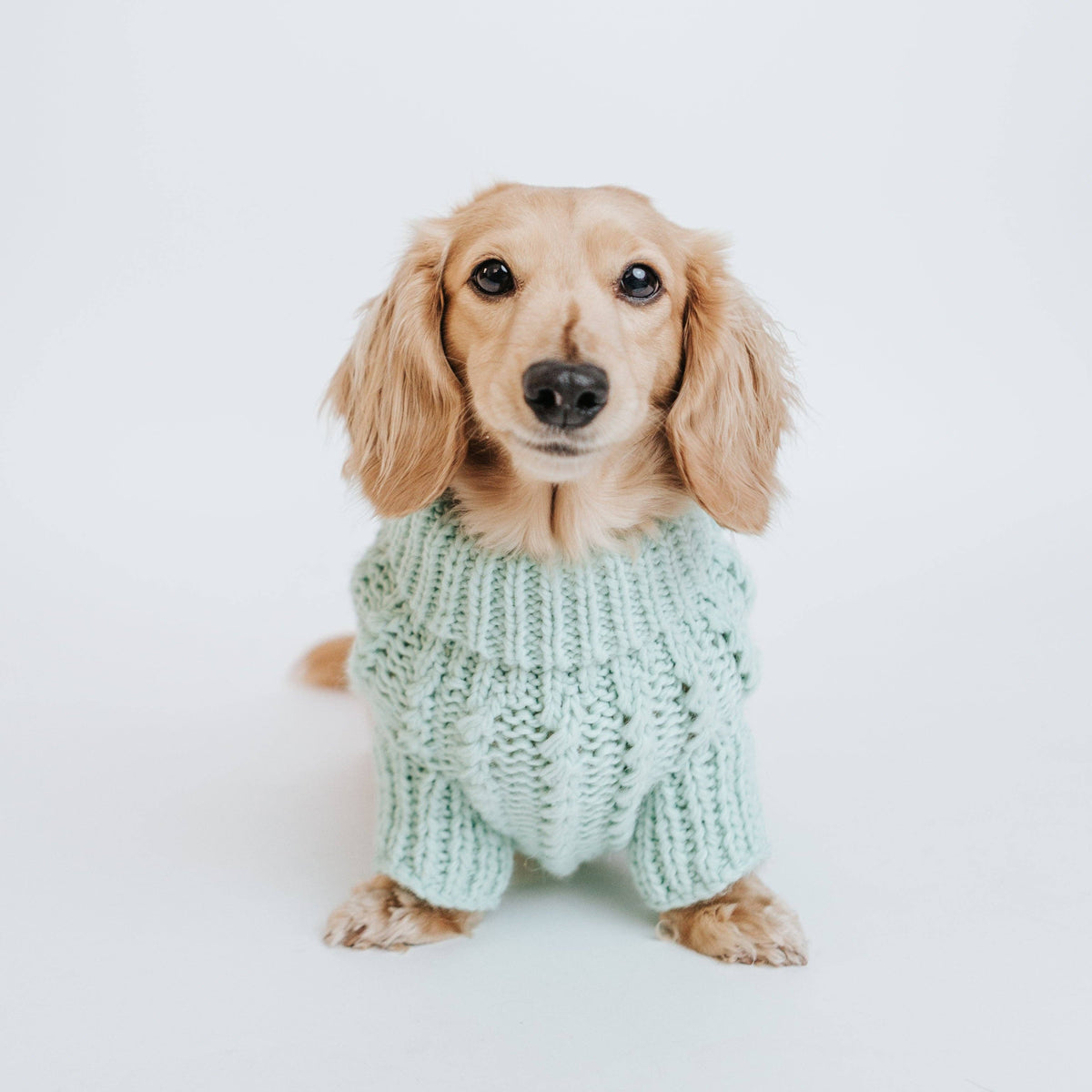 Pet Cable Knit Sweater - Mint – Peachy Paws Pet Store