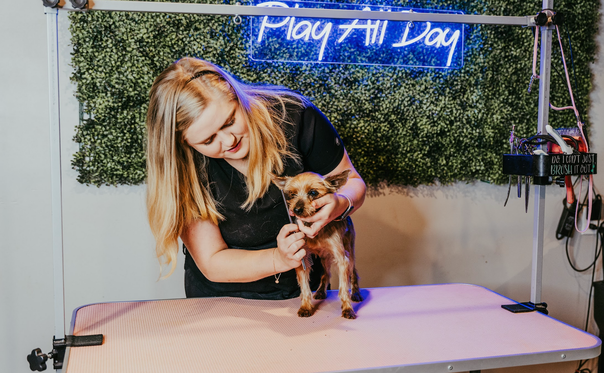 Peachy Paws Pet Store, The store for all your pet products and service